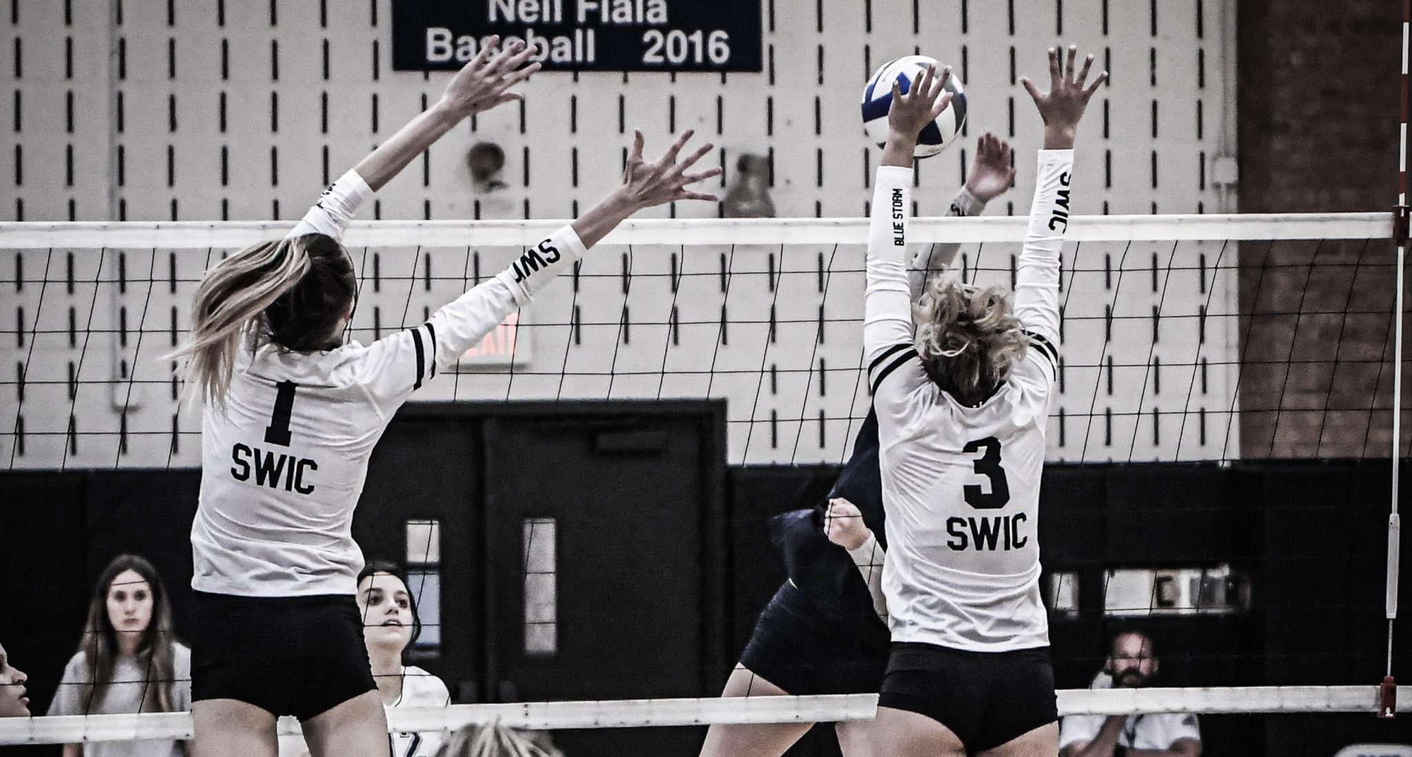 Volleyball Alumni – Southwestern Illinois College